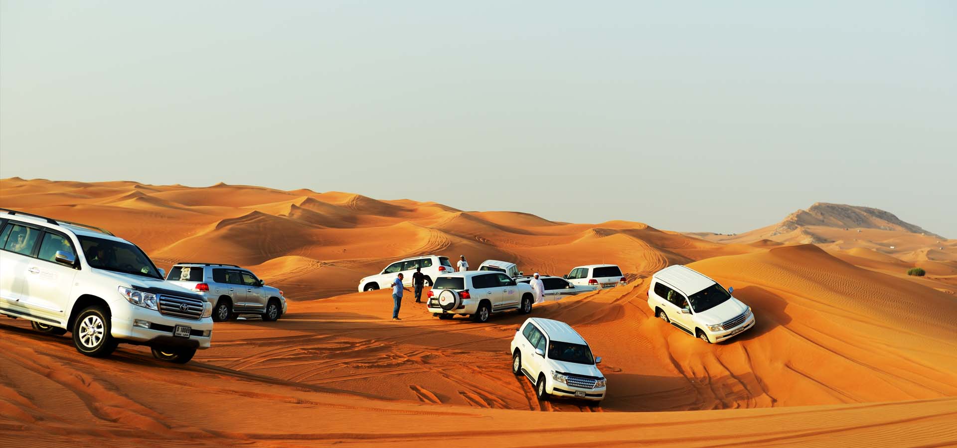 Morning Desert Safari Dubai @100 AED | Dubai Morning Safari
